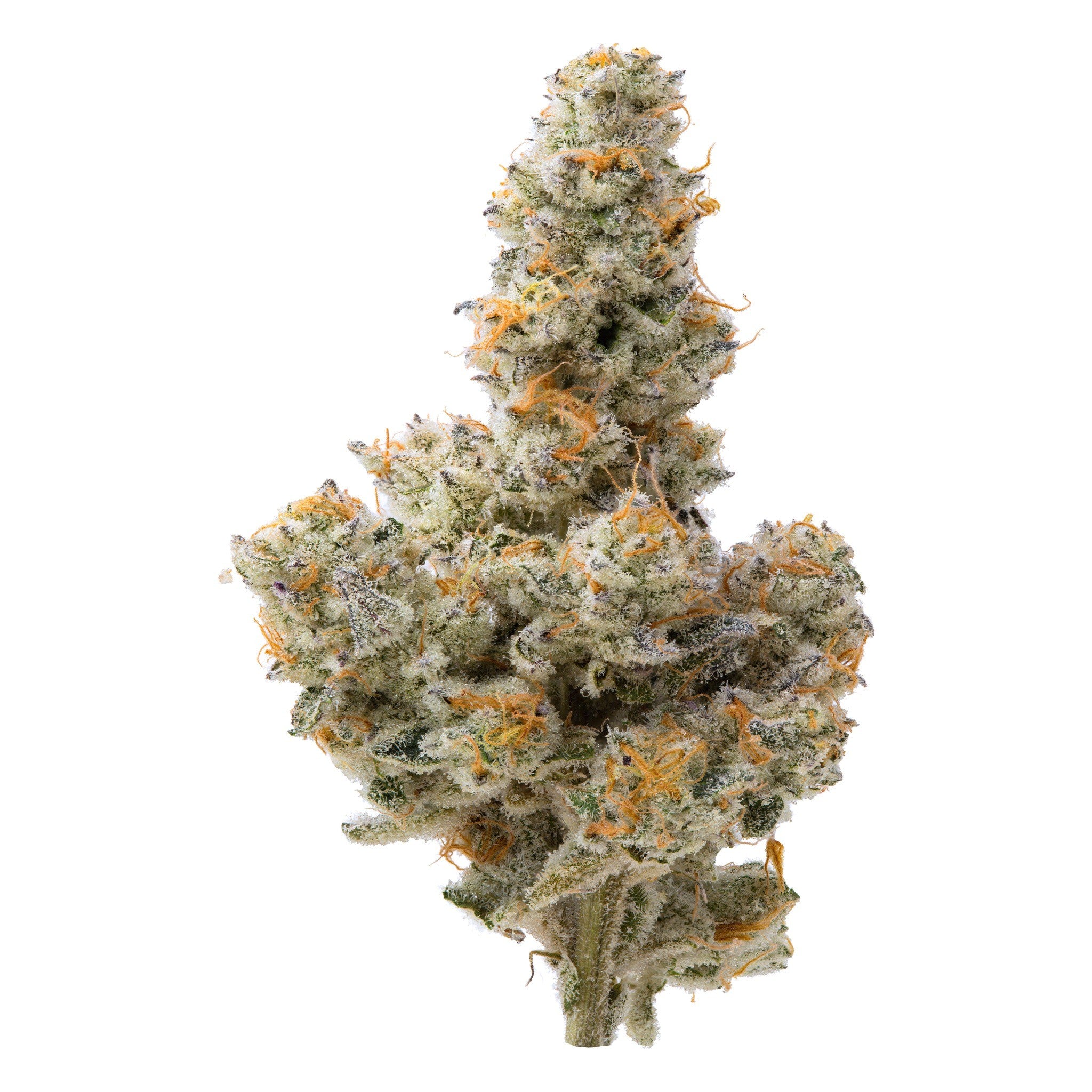 Caps Junky – Herban Hemp